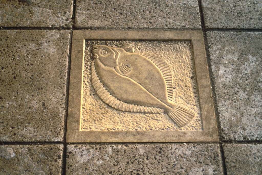 Gordon Young — Fish Pavement – Hull