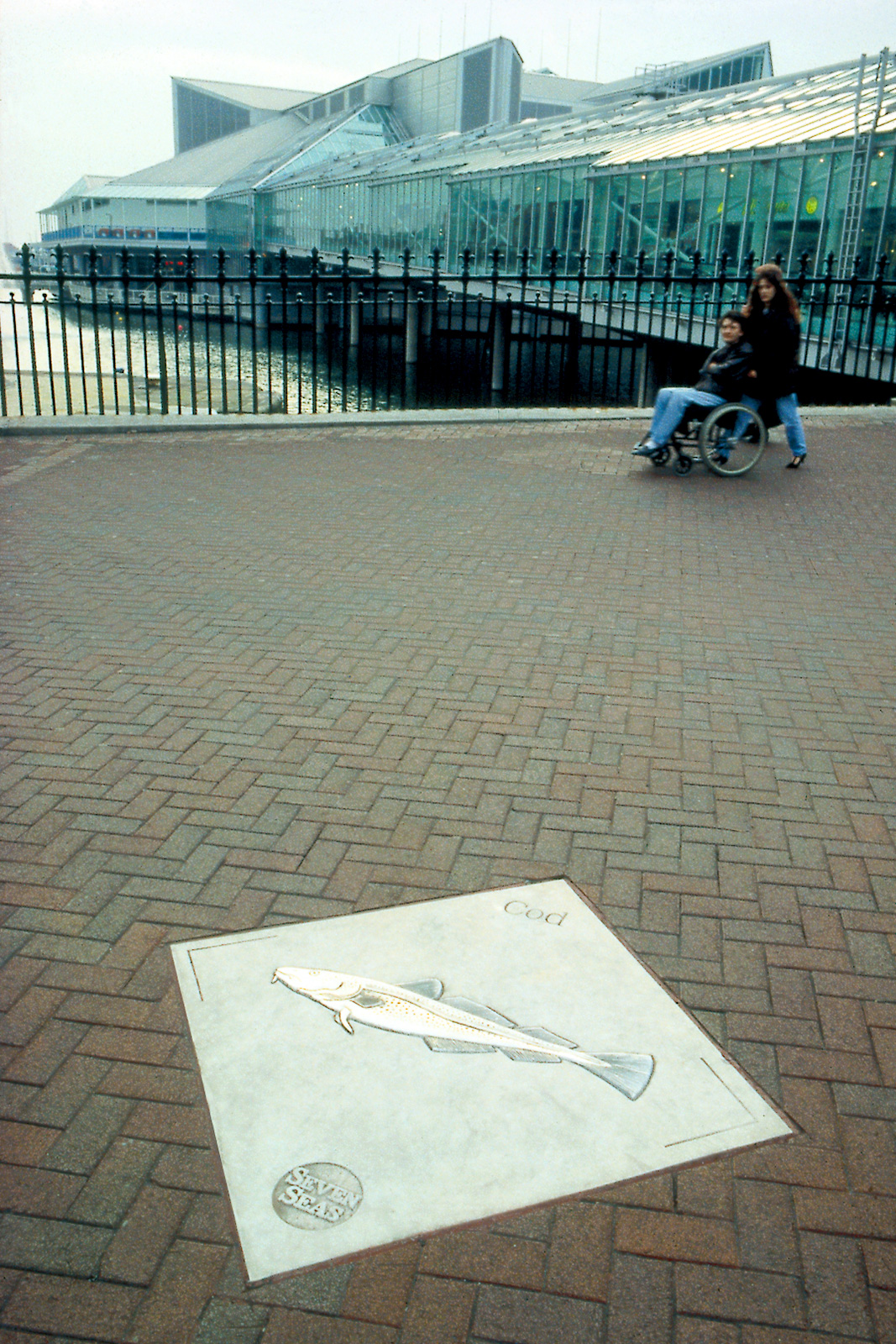 Gordon Young — Fish Pavement – Hull